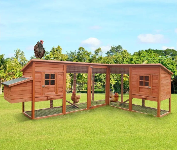 L Shaped Chicken Coop | Double Chicken Coop for 6-12 Chickens ...