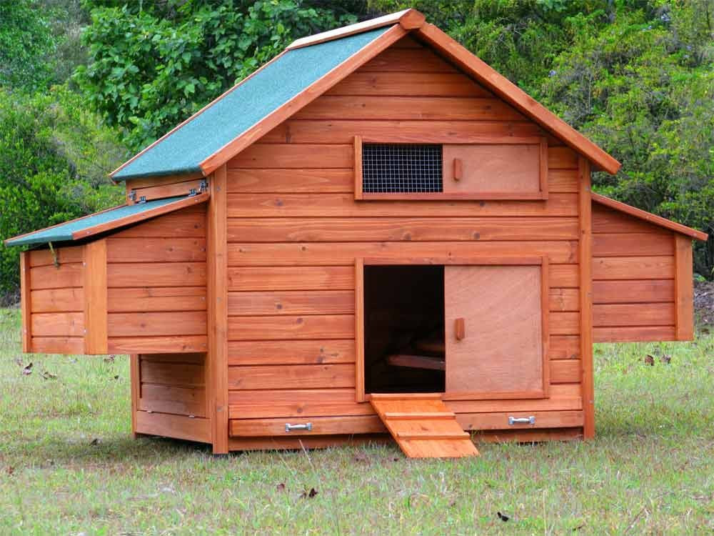 Very Large Chicken Coops | Chicken Coop for Large Chickens – Pepperwood ...
